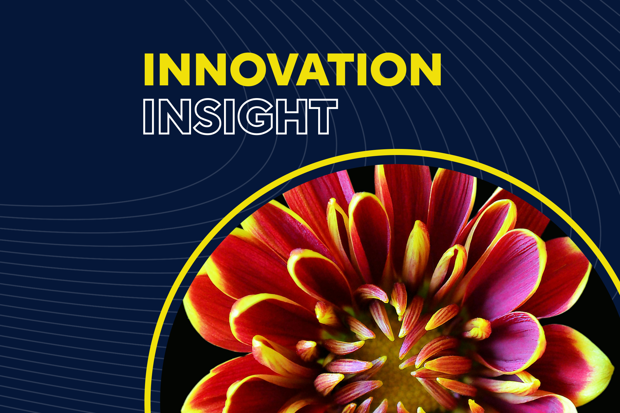 Innovation Insight: Accessible Perceptual Contrast Algorithm - Carimus, LLC